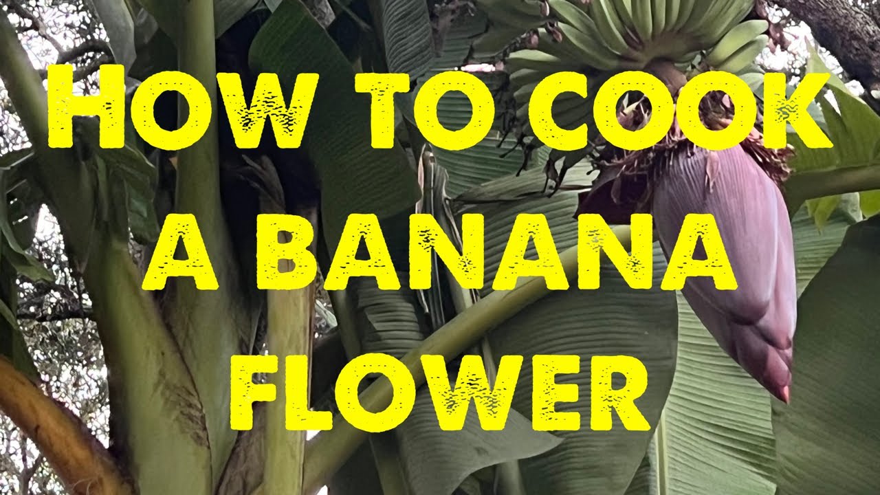 How to prepare and cook a banana flower - YouTube