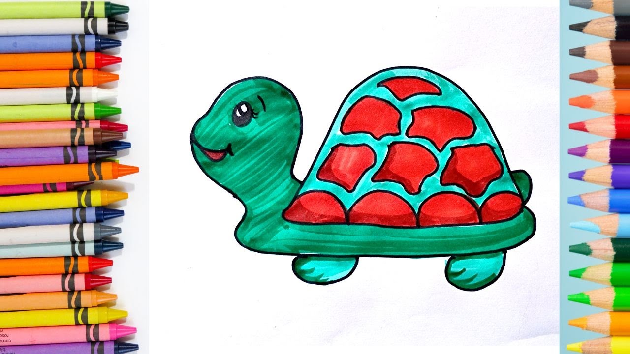 Cartoon Tortoise Drawing For Toddlers, Kids, I colours Magic I - YouTube