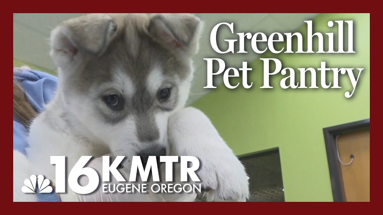 Greenhill Holds Pet Pantry Food Drive at Emerald Park - YouTube