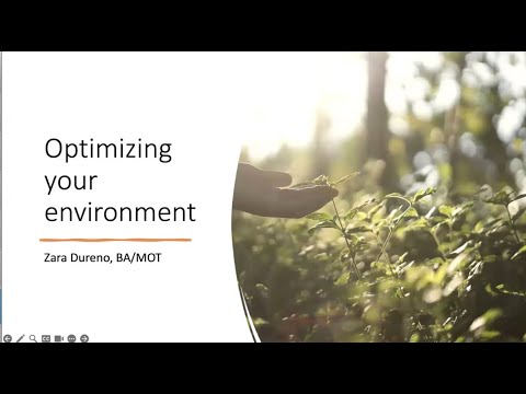 Environment Optimization - YouTube