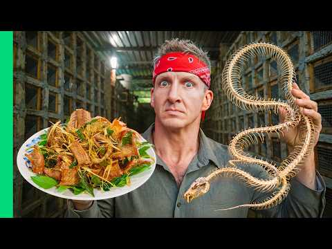Mega Rats and Poison Snakes — Inside Asia's Bizarre Farms!!