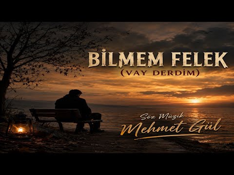 Mehmet GÜL - Bilmem Felek Neyler ( Vay Derdim ) ( Sound LAB Cover )