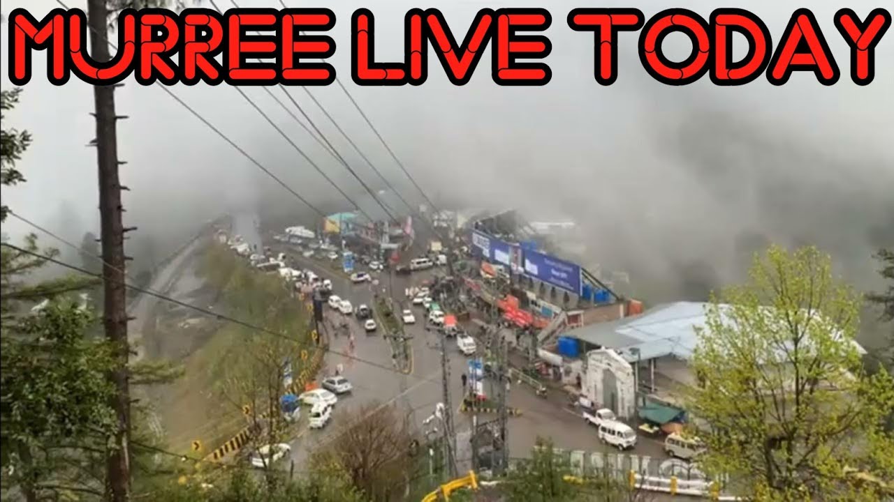 Murree live today || Beautiful Rainy and Foggy weather in murree today ...