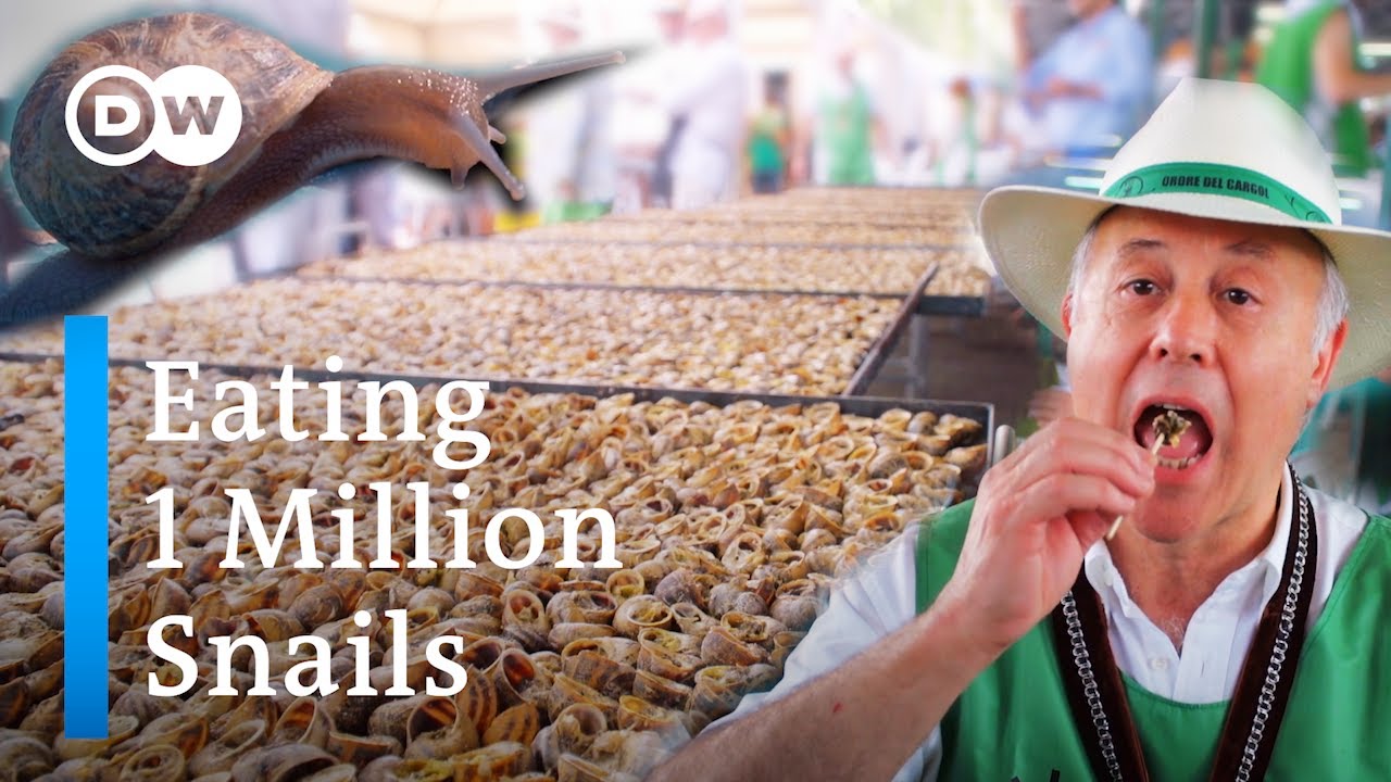 Delicious Or Disgusting? Spain's Biggest Snail-Eating Festival - YouTube