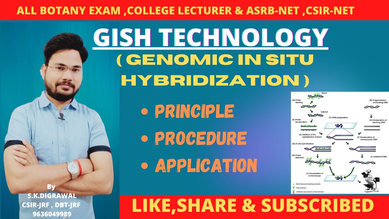 GISH TECHNIQUE || GENOMIC IN SITU HYBRIDIZATION || FISH - YouTube