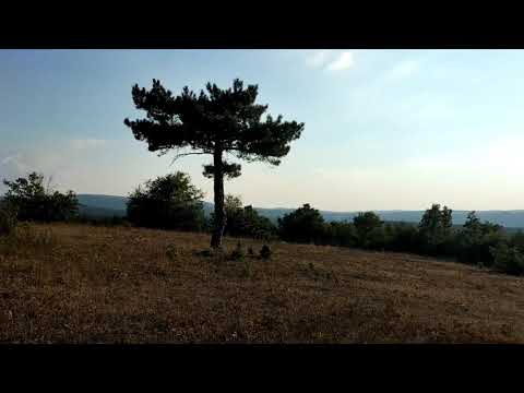 Doğada Çay & Doğa Gezisi | Yayla Bahçemizde Güzel Bir Gün