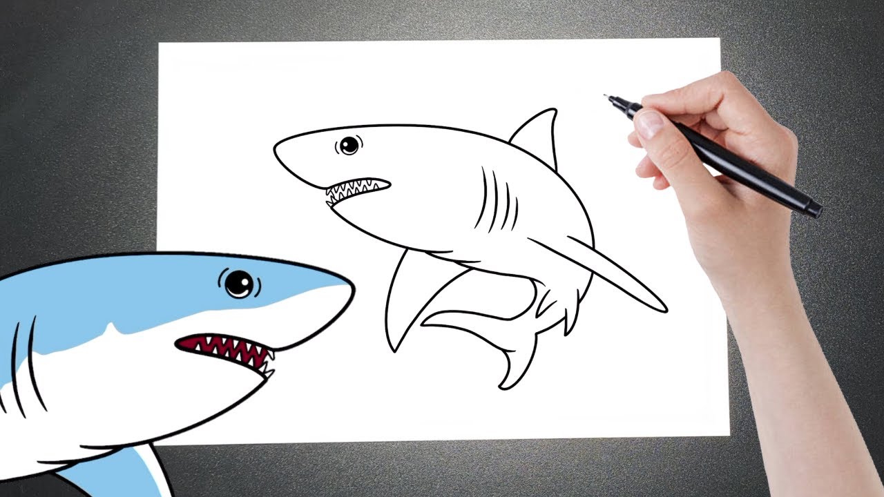 HOW TO DRAW A SHARK - YouTube