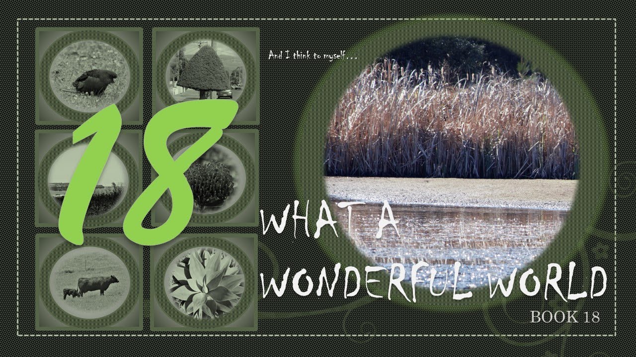 What a Wonderful World 16 9v2 Album 18 - YouTube
