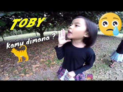 Kucing Niala Hilang 😿Lifia Niala Elsa Cari Toby Kucing Lucu yg Hilang 😢Lose Cats