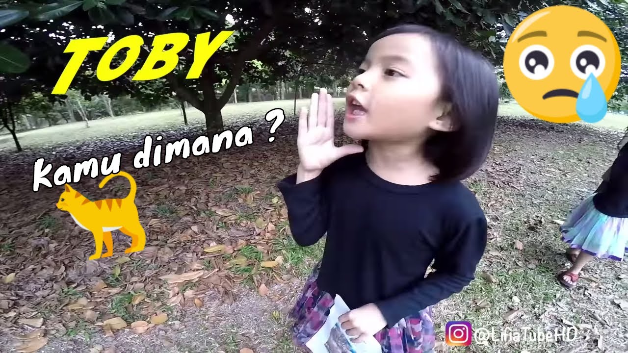 Kucing Niala Hilang 😿Lifia Niala Elsa Cari Toby Kucing Lucu yg Hilang 😢 ...