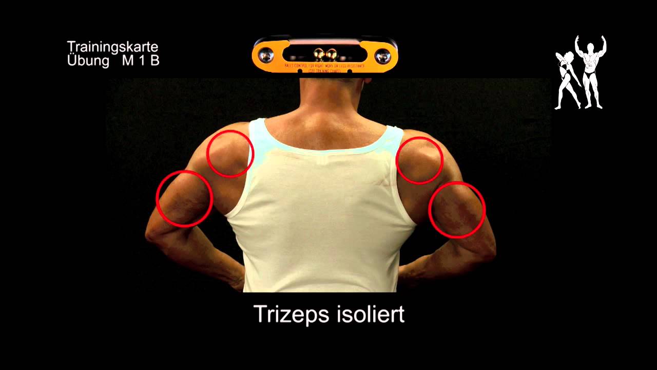 Isokinator Training - Übung M1B für isolierten Muskelaufbau am Trizeps ...