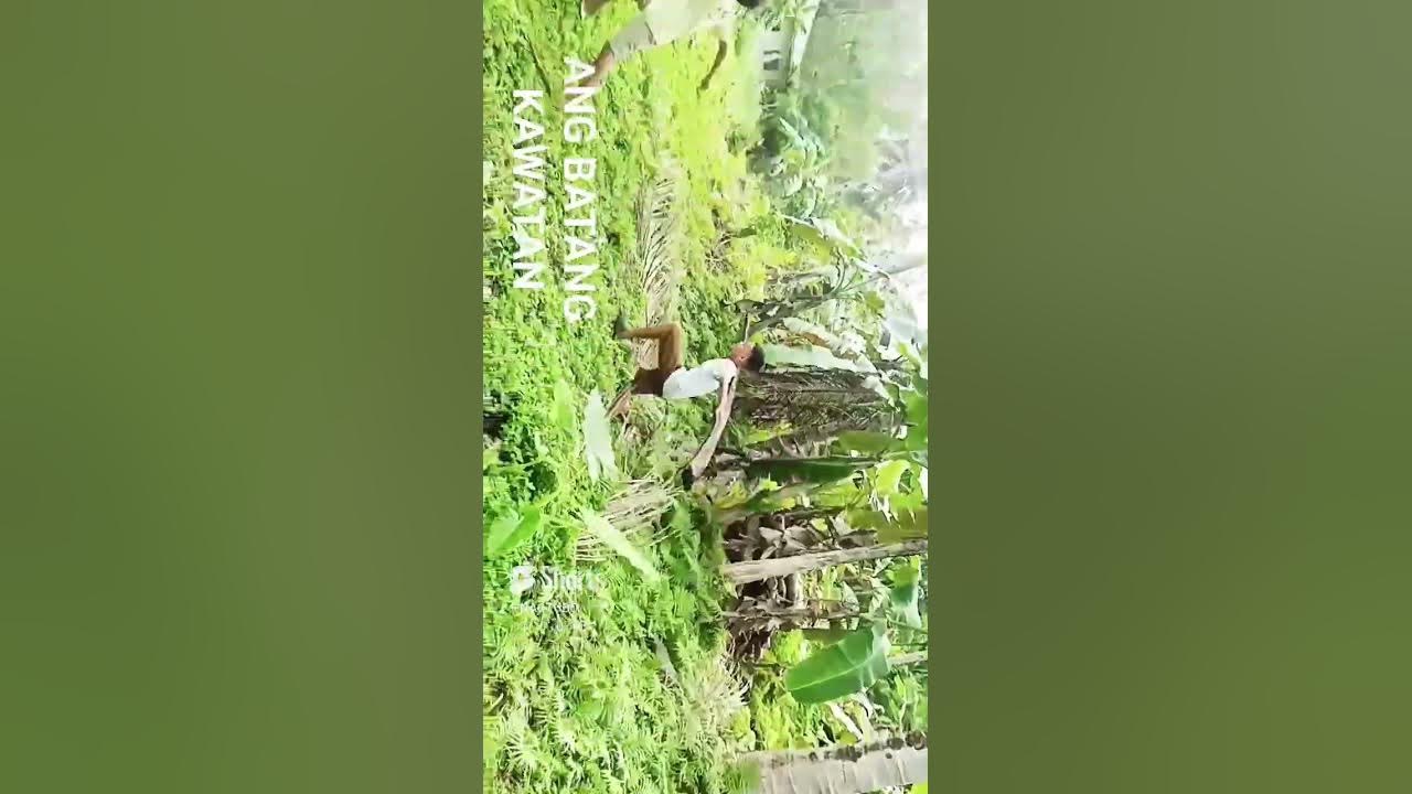 MGA KAWATAN OG LUBI - YouTube