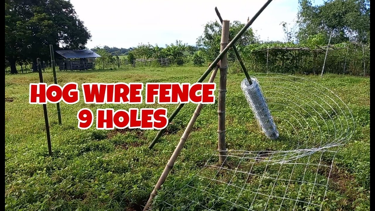 GOAT/ BAKOD HOG WIRE/ HOG WIRE FENCING/#NCAMBATV6018 - YouTube