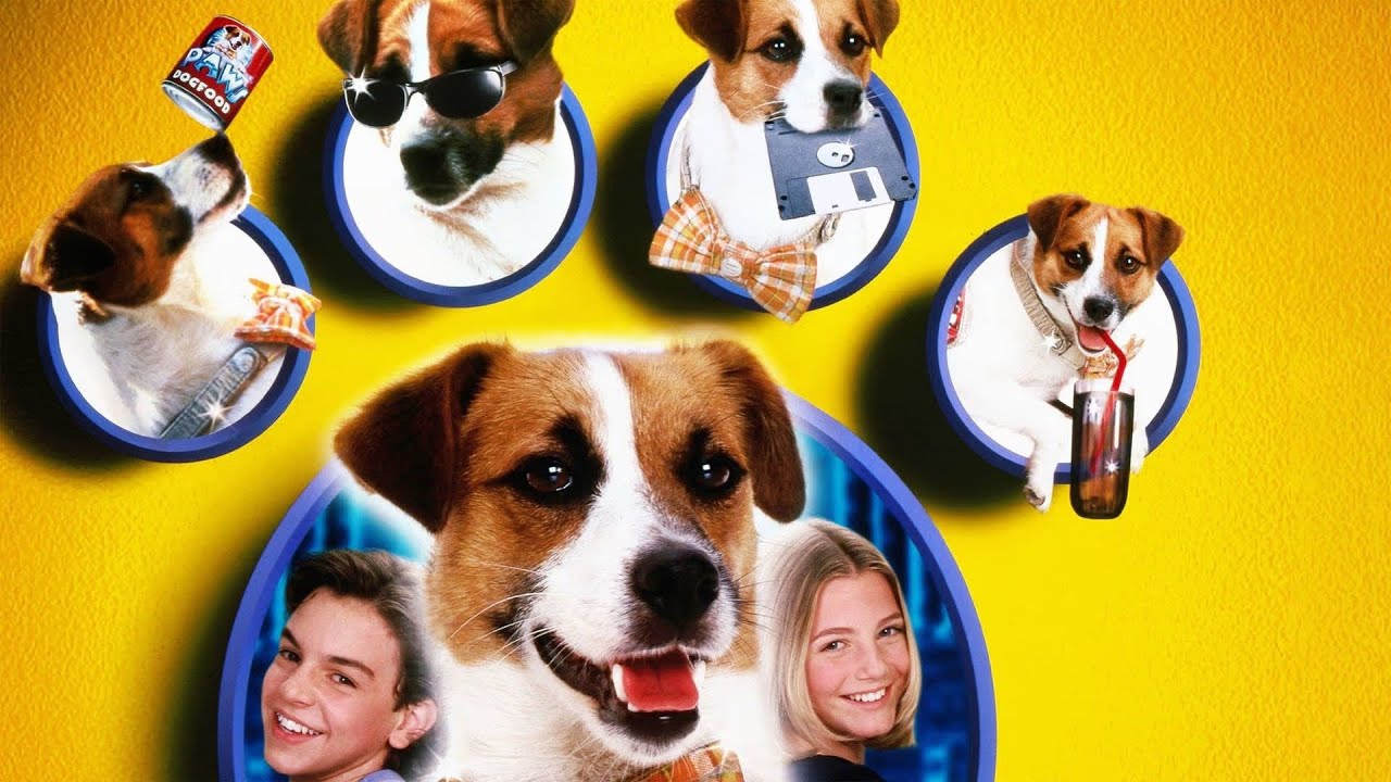 Opening To Paws On TeleXitos 08/28/2021 - YouTube