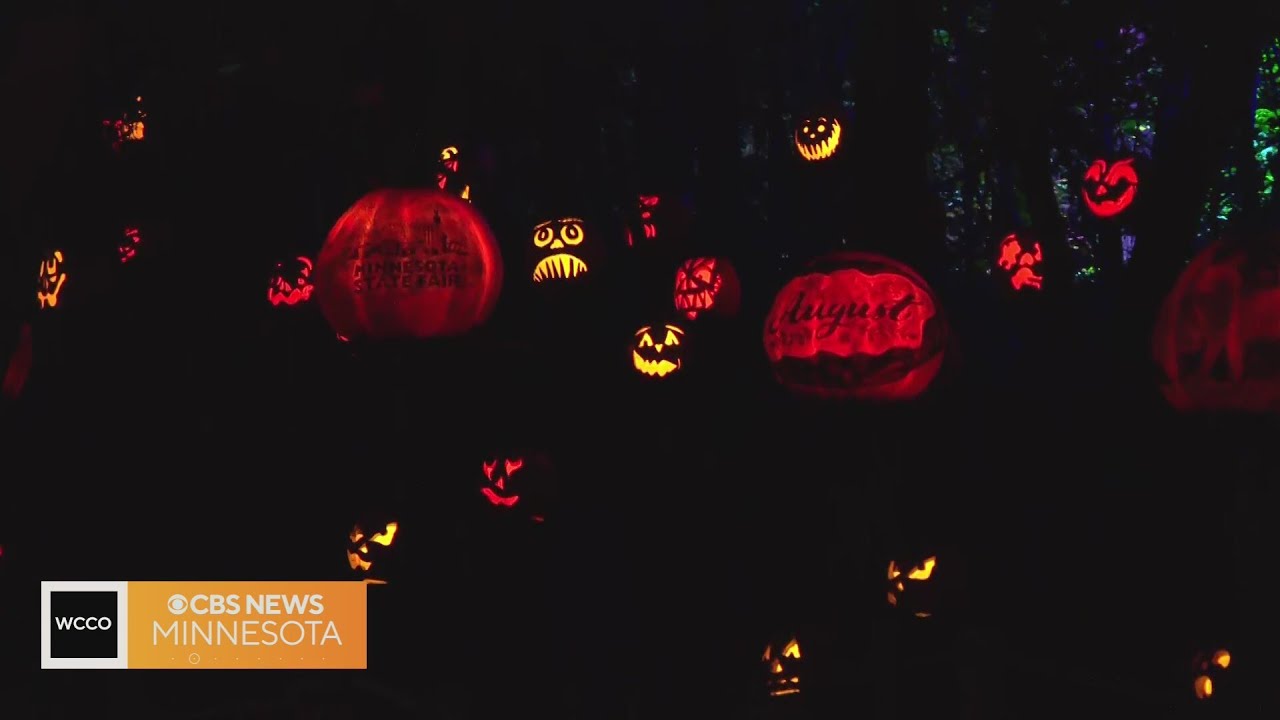 Minnesota Zoo celebrates Halloween with Jack-O-Lantern Spectacular ...