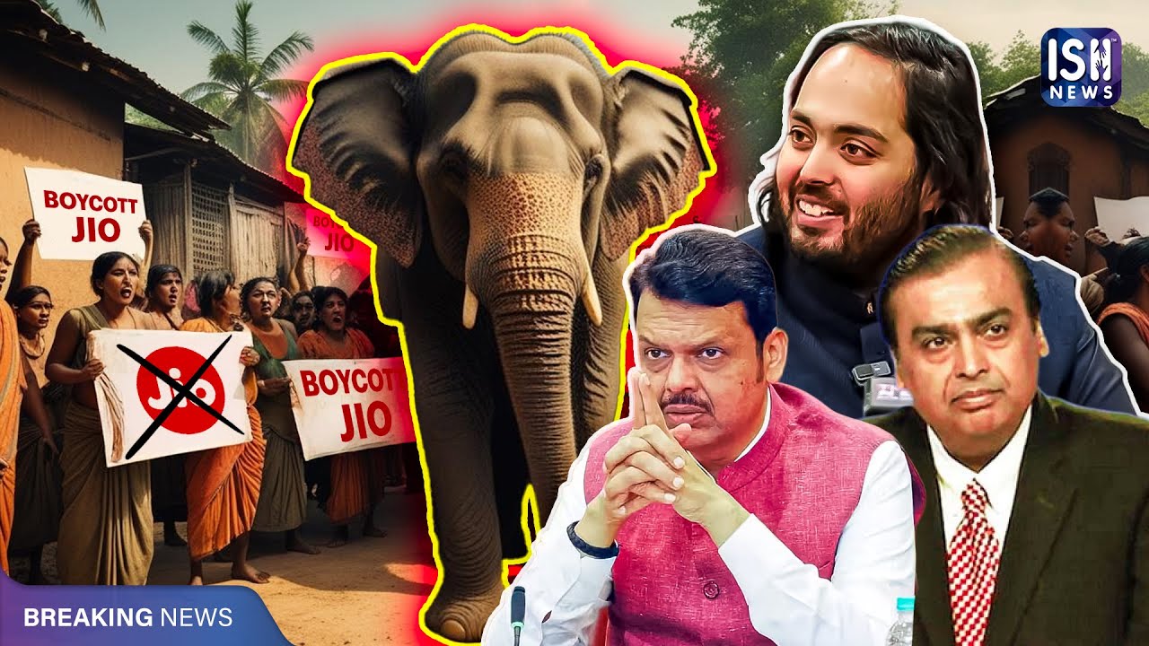 Vantara Controversy: How Elephant Madhuri Sparked the Boycott Jio ...