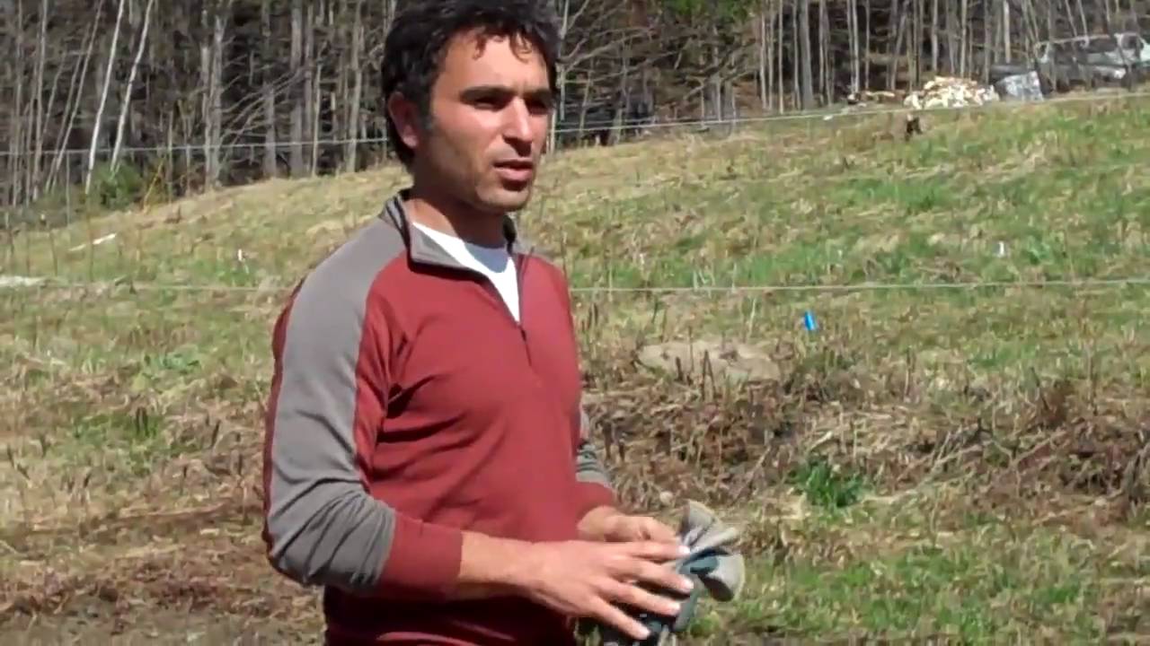 Ben Falk Describes Ag for Climate Change and Rice - YouTube