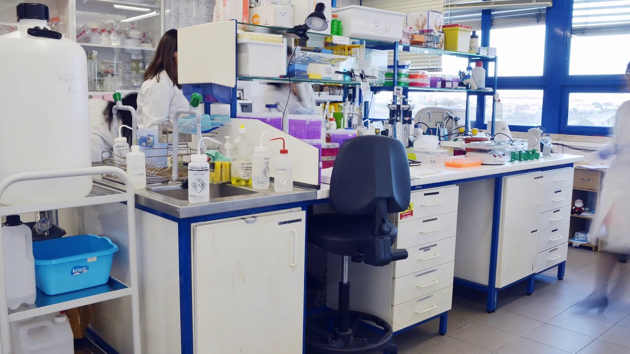 FCT NOVA Lisbon, Portugal Laboratory Timelapse - YouTube