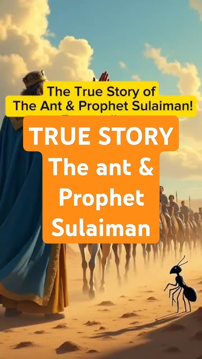 The true story of the Ant & Prophet Sulaiman in Qur'an! Extraordinary # ...