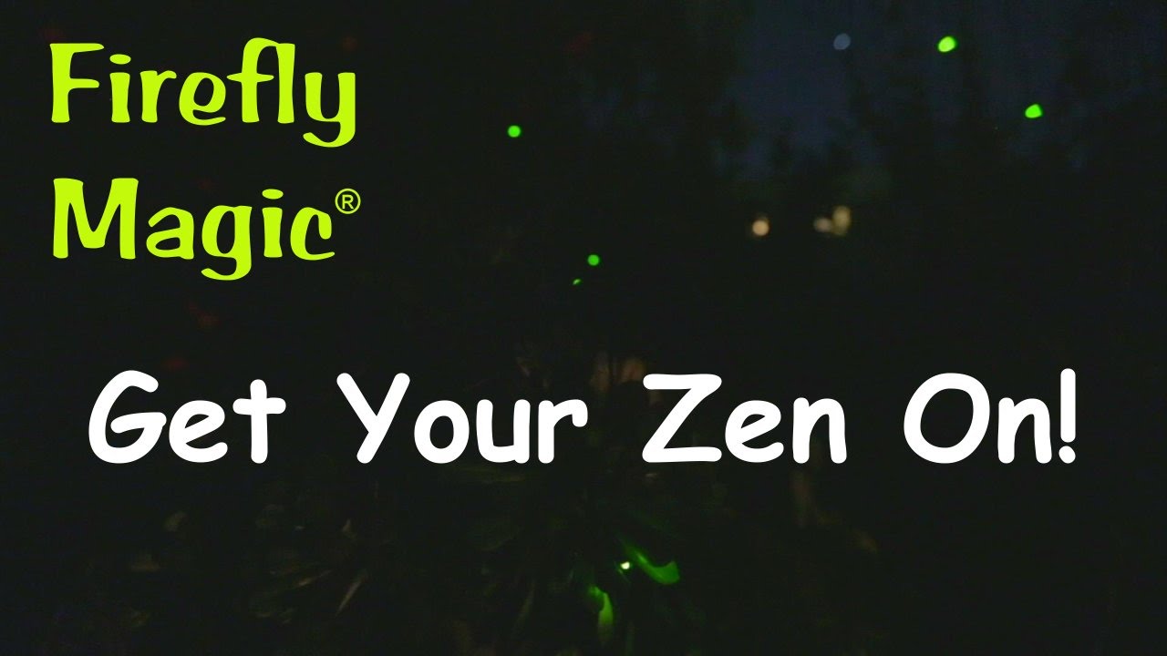 Firefly Magic® 'Campfire' Firefly Lights - YouTube