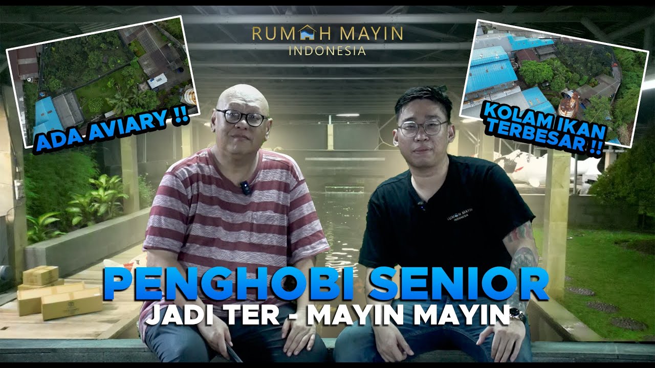 PENGHOBI SENIOR JADI TER-MAYIN MAYIN | KOLAM IKAN TERBESAR !! ADA ...