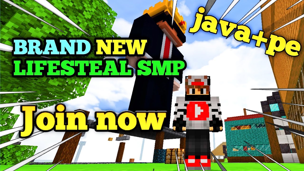 🤩 Brand New Lifesteal Smp For Java+pe | join now🔥 - YouTube