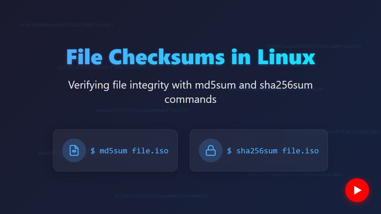 Linux File Integrity: Mastering md5sum & sha256sum Commands - YouTube