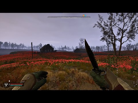 Stalker 2 - Poppy Field Root Cellar Location 📍