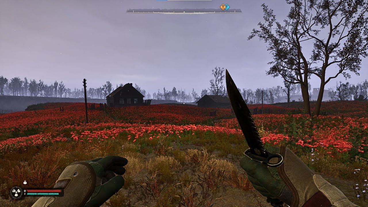 Stalker 2 - Poppy Field Root Cellar Location 📍 - YouTube