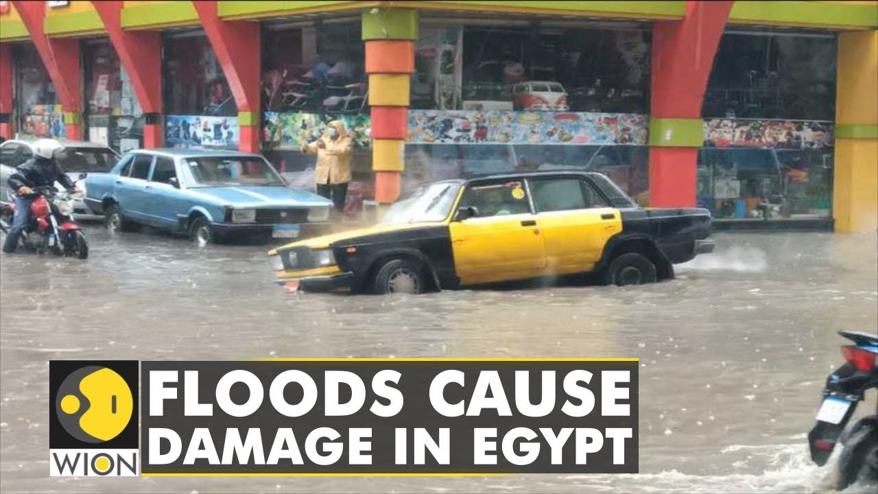 Torrential rain, floods cause damage in Egypt | WION latest news - YouTube