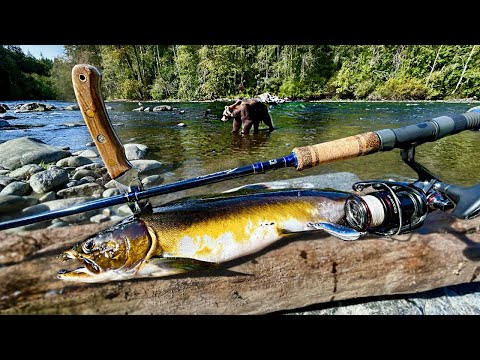 Lachs Angeln im BÄREN Gebiet 😳🔥 Mission Kanada Folge 1