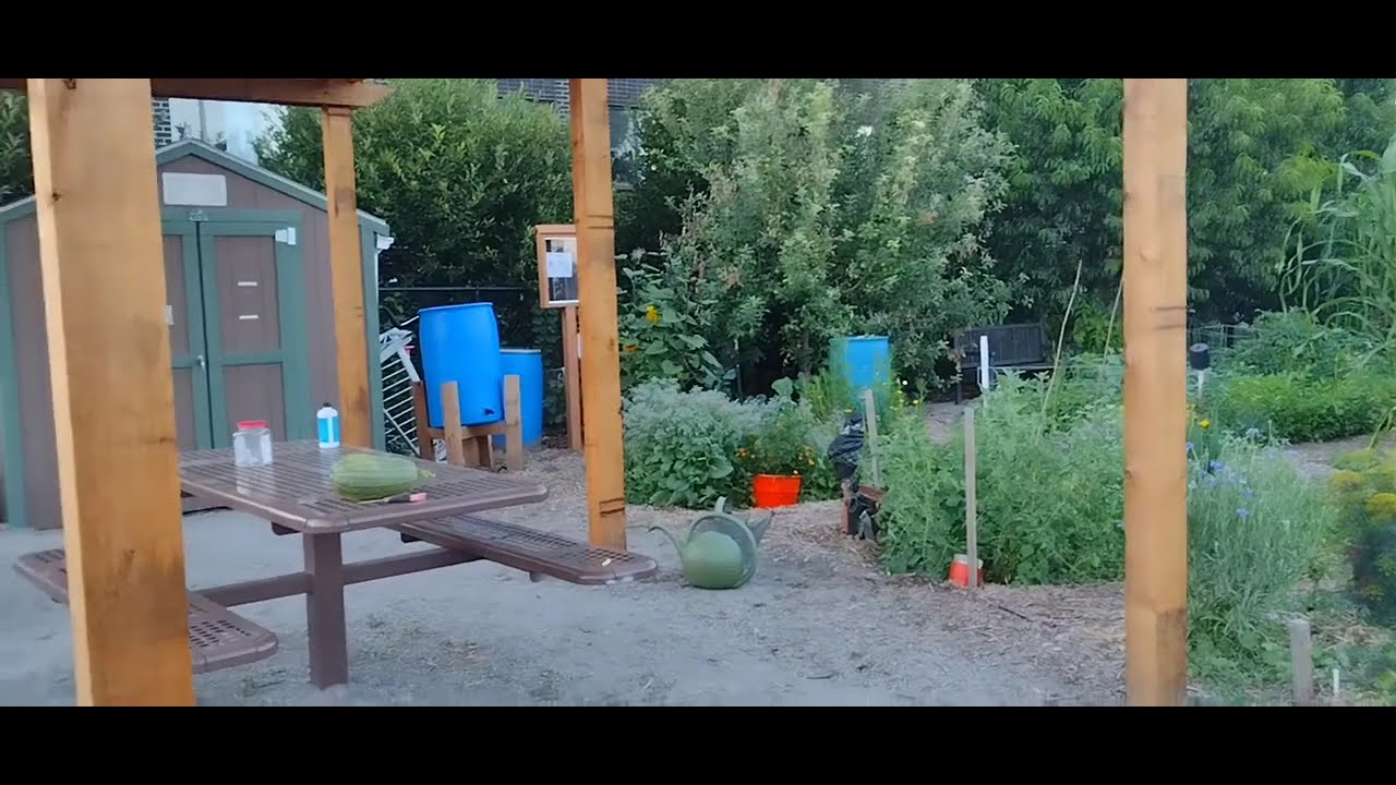 Montview Park CG c. 2023 (NW Aurora) - YouTube