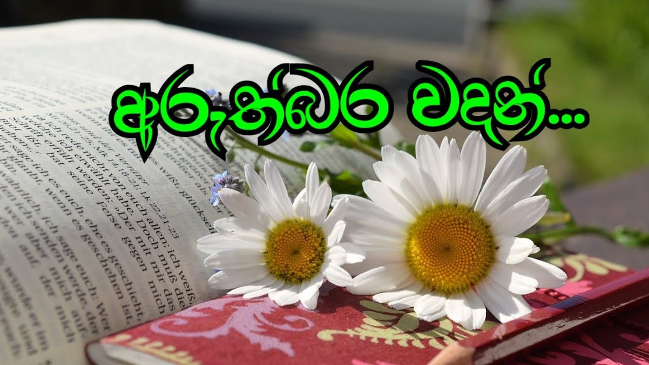 ජීවිතයට වටින අරුත්බර වදන් පෙලක්...#sinhalawadan #lifecoaching - YouTube