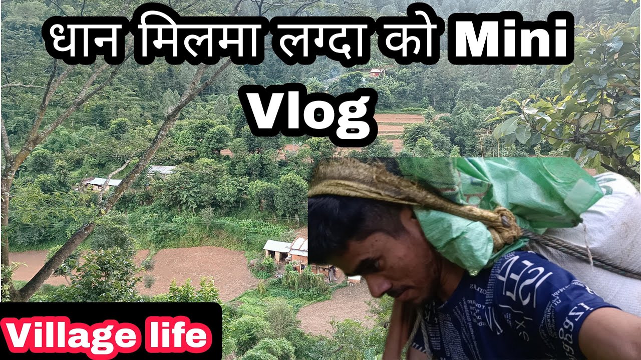 गाउँको MiNi Vlogs. Village Life Mini Vlog. Dhan Mill Ma Lada Ko Vlogs. #Nepal #village - YouTube