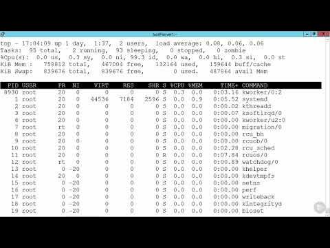 22 Shortcuts with pgrep, pkill, and top - YouTube