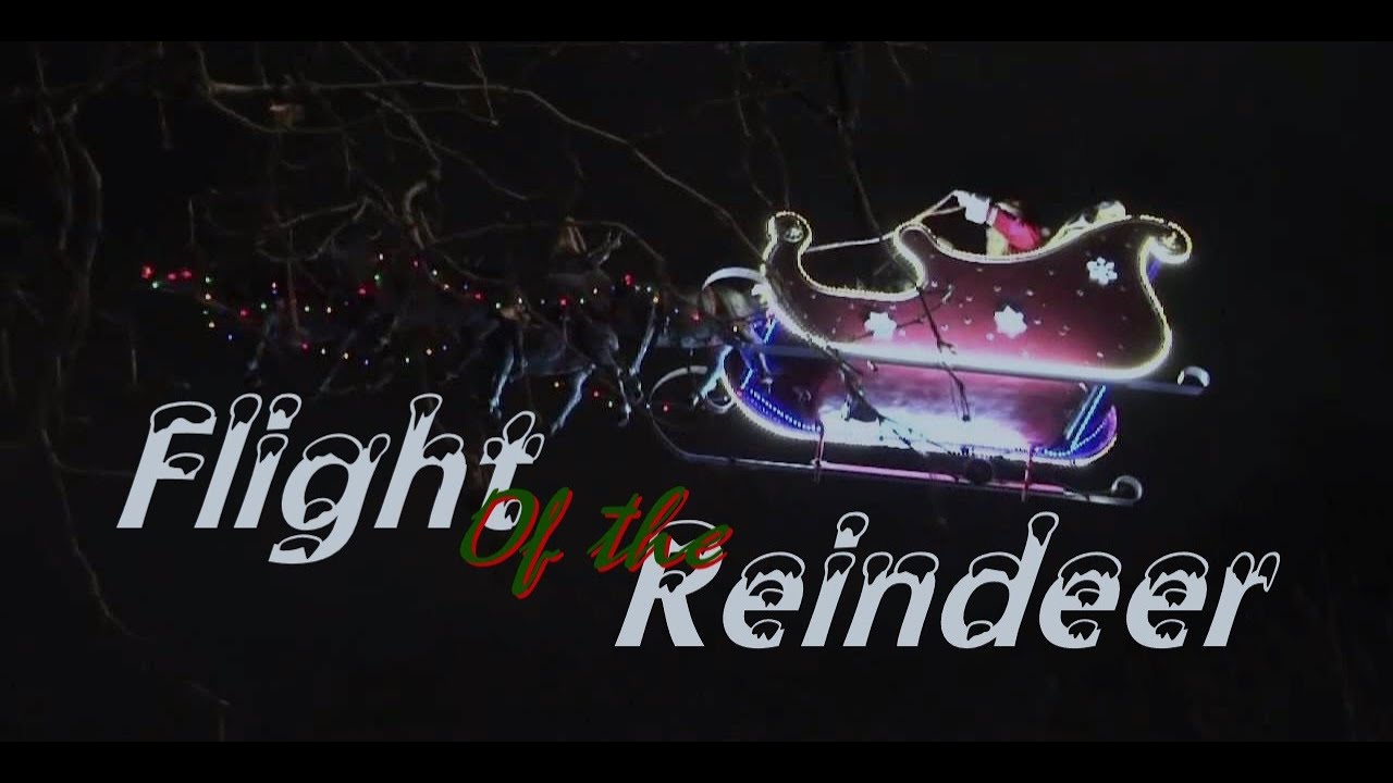 Screaming Sloth - Flight of the Reindeer - YouTube