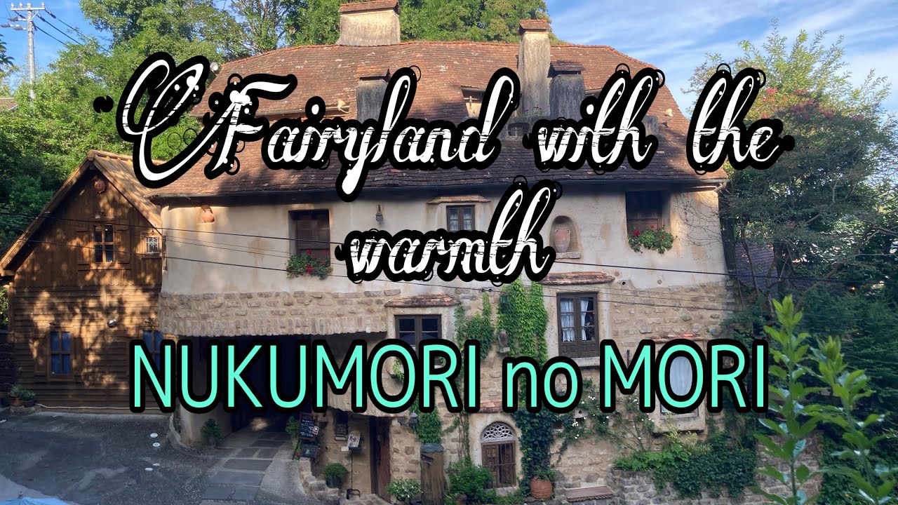 Nukumori no Mori | Fairyland with the Warmth | Hamamatsu Shizuoka Japan ...