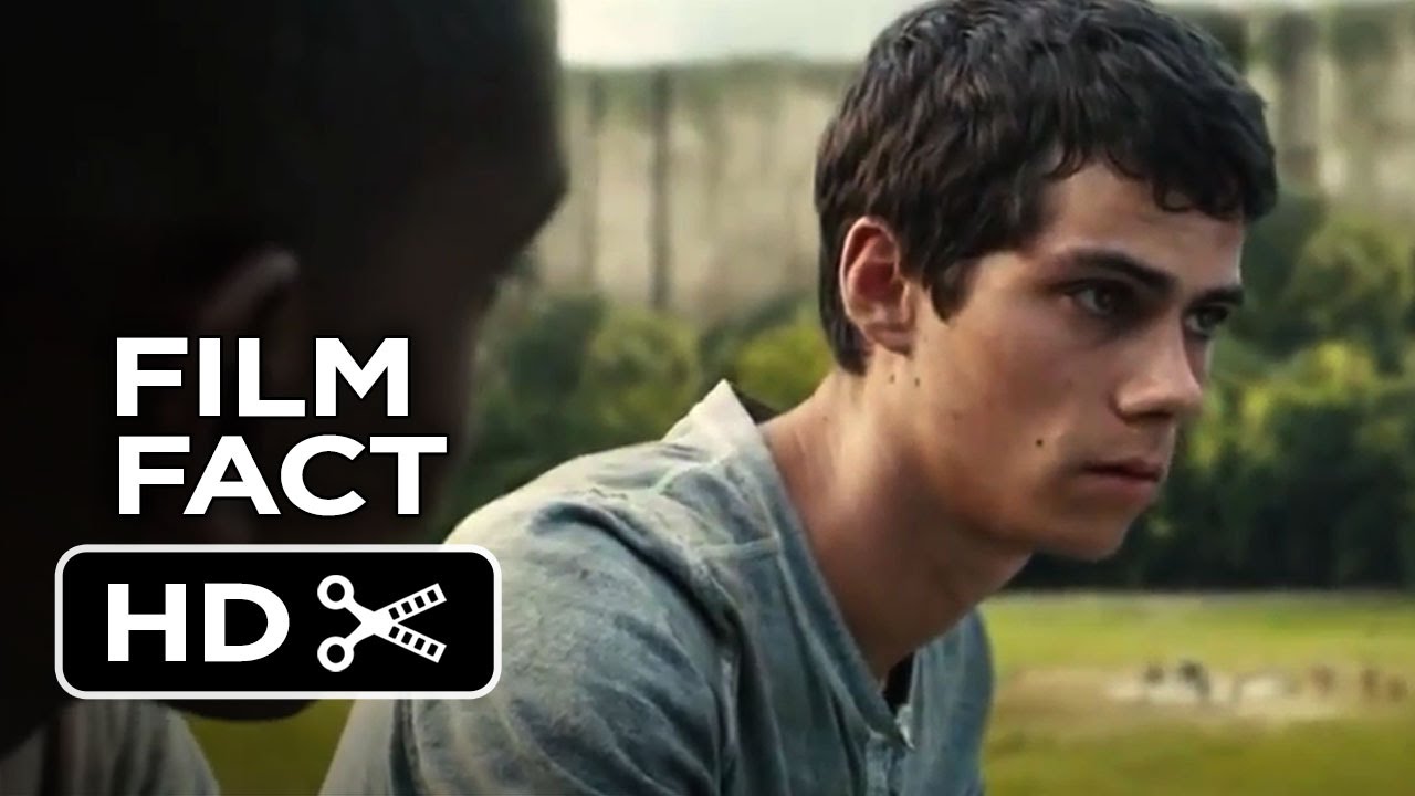 The Maze Runner Film Fact (2014) Dylan O'Brien Dystopian Movie HD - YouTube