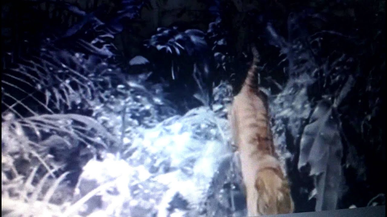 Ballyweg Mandalay Intro HD - YouTube