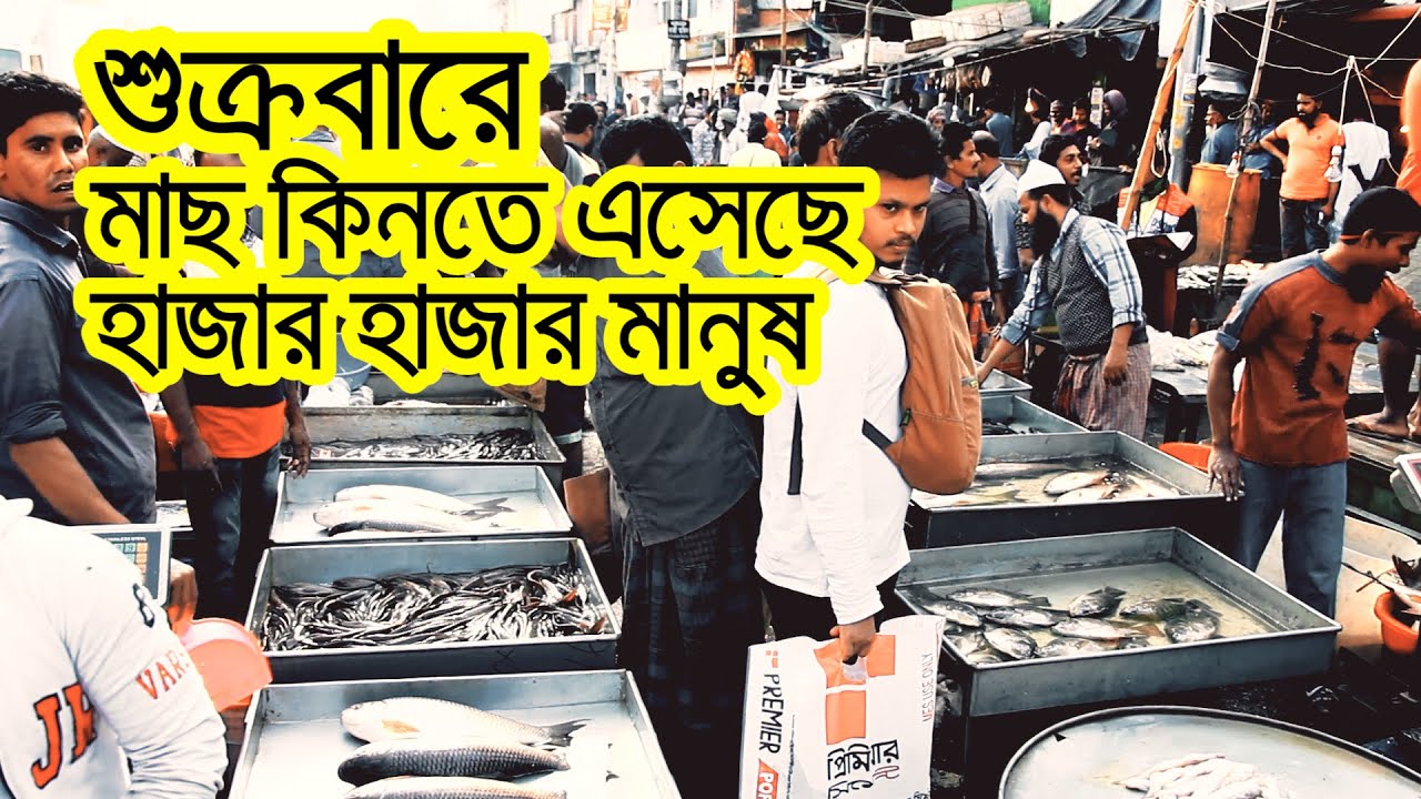Amazing Fish Market | Biggest Fish Market In Jatrabari Dhaka ...