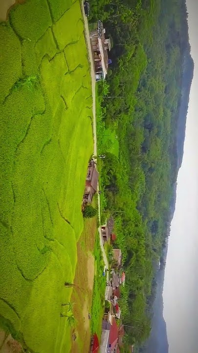 Warung tengsaw #sukamakmur #infosukamakmur #bogortimur #bogor # ...