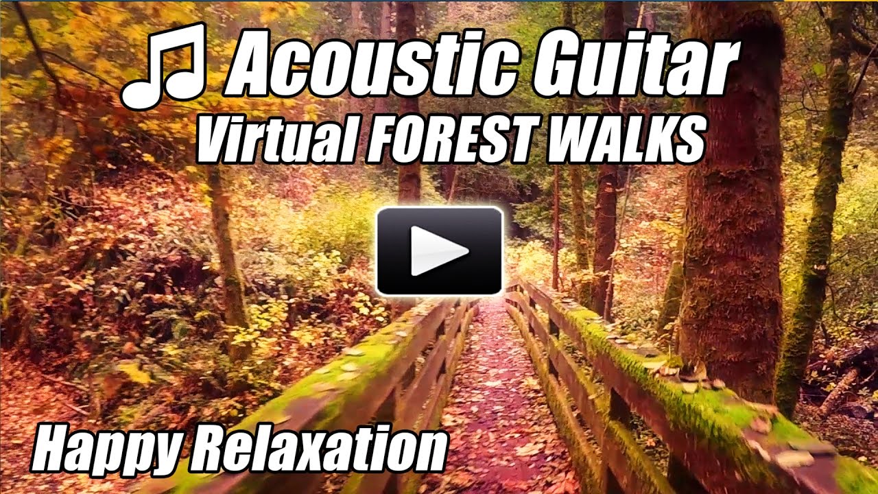 Acoustic Guitar Instrumental Virtual Walking Tour FOREST WALKS ...