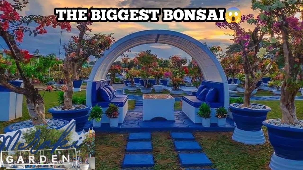 MERAKI GARDEN 🪴 TOP TOURIST SPOT ISABELA PHILIPPINES 🇵🇭 - YouTube