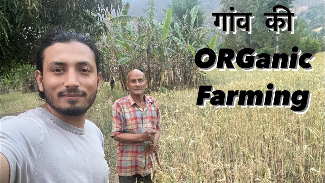 Goan Ki Organic Farming | with grandfather - YouTube