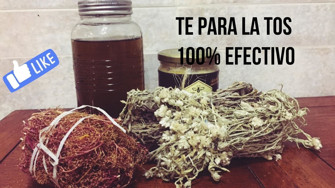 Te para curar la tos, muy efectivo - YouTube
