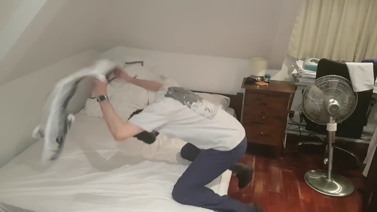 spaz attack.mov - YouTube