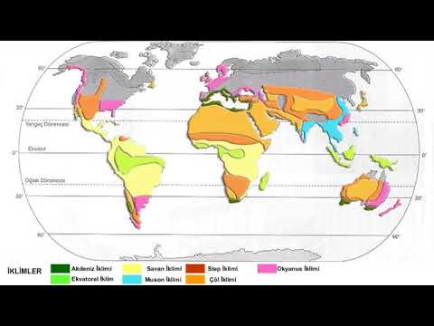 Dünya'da Görülen Büyük İklimler - İklim Bilgisi (Haritalı Kısa Animasyon - 9. Sınıf Coğrafya)