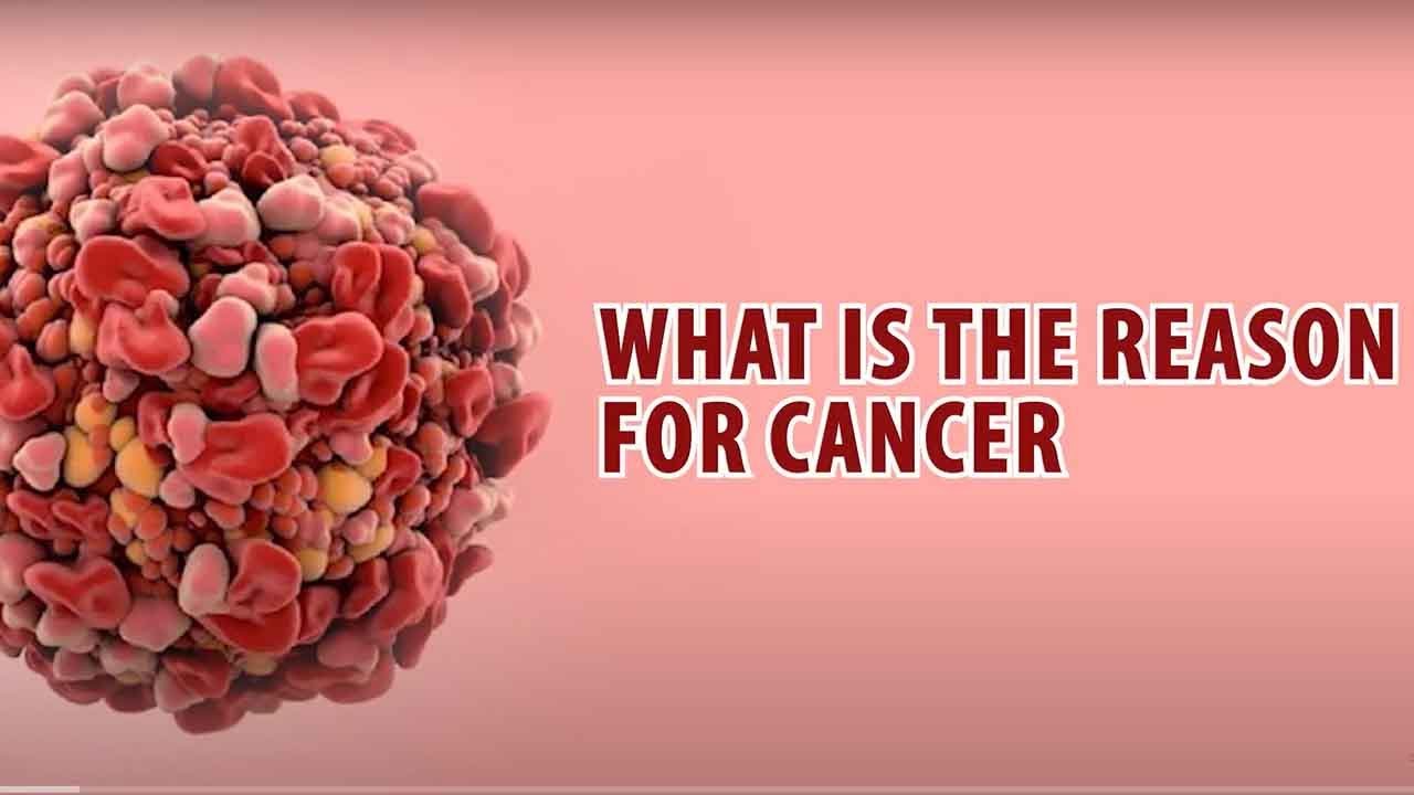 What is the Reason For Cancer - YouTube