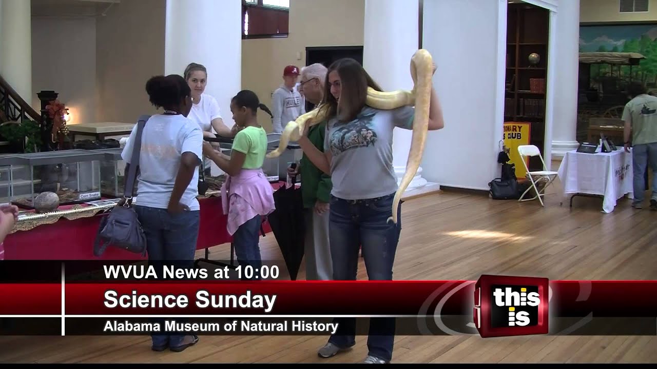 60th Anniversary of Ann Hodges' Meteorite - YouTube