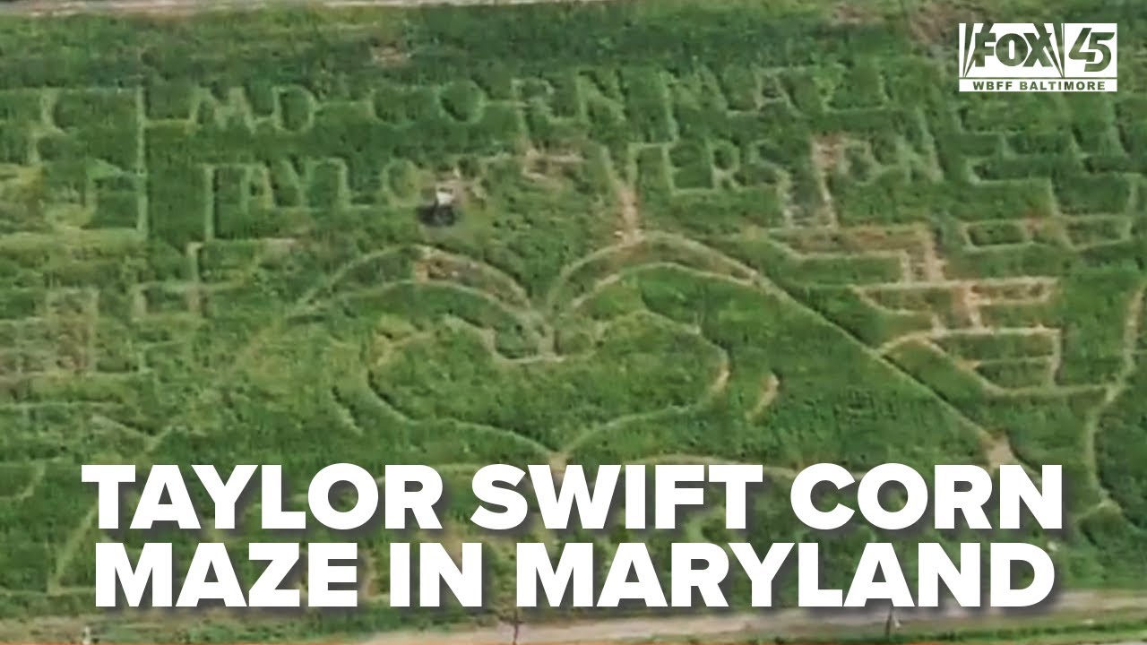 Taylor Swift theme corn maze opens in Maryland - YouTube